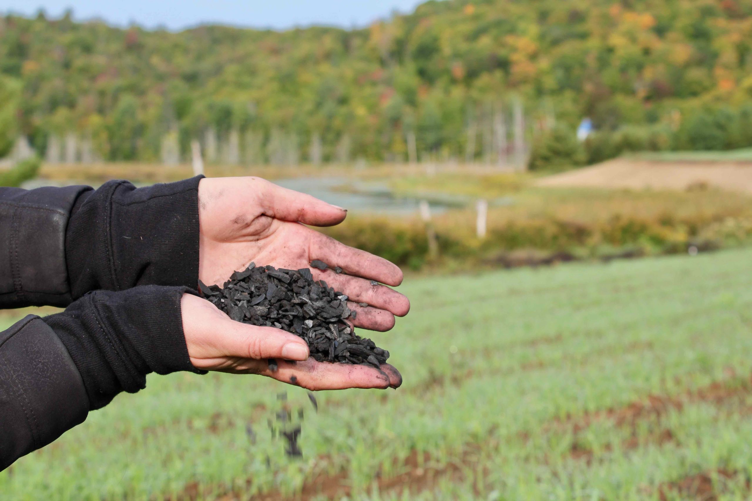 Passez au SYSTÈME BIOCHAR cet automne! - Jardins de l'écoumène