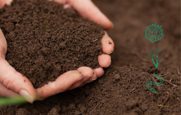 Amender le sol au printemps : une très bonne pratique - Jardins de l ...