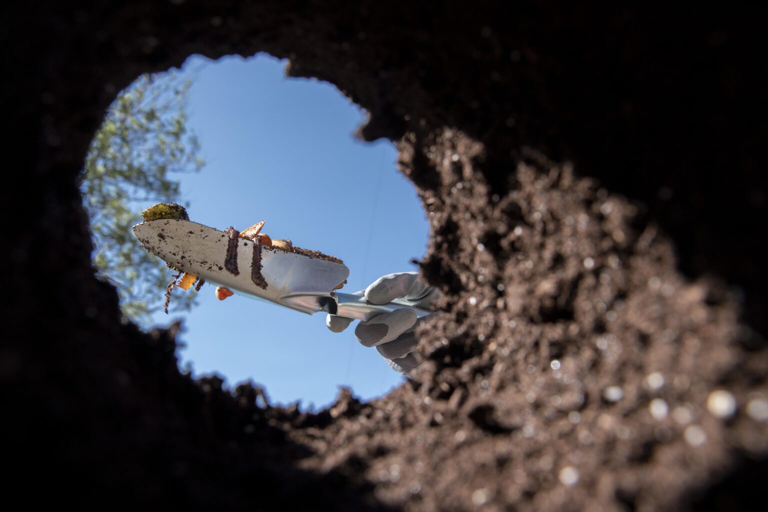 Amender le sol au printemps : une très bonne pratique - Jardins de l ...