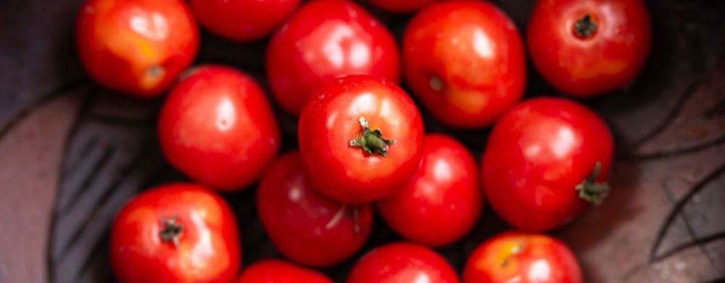 La tomate : que choisir ? - Jardins de l'écoumène